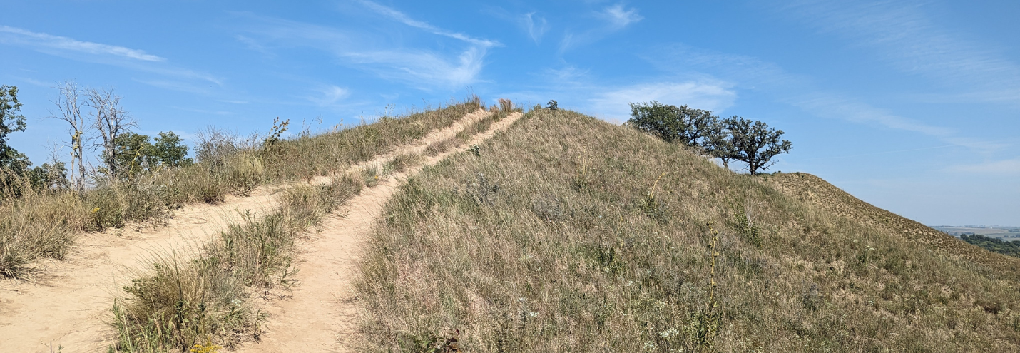 Leading the way to create a safe, healthy environment and sustainable ...