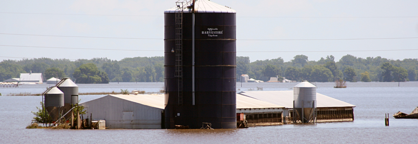 Leading the way to create a safe, healthy environment and sustainable ...