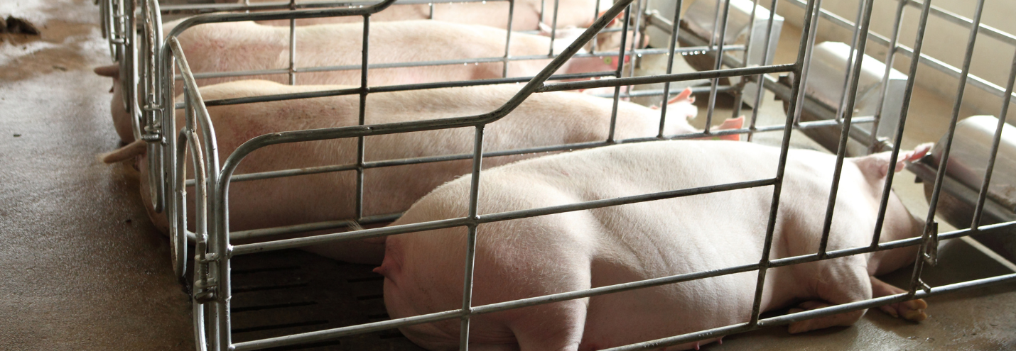 Leading the way to create a safe, healthy environment and sustainable ...